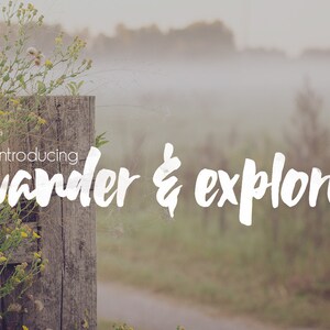 Fonts, Brush Fonts, Floral Fonts, Unique Fonts, Quirky Fonts, Logo ...