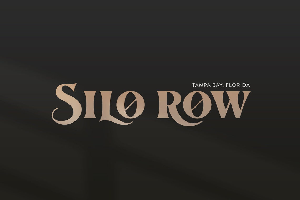 Fonts Font Duo Serif Fonts Modern Fonts Unique Fonts | Etsy