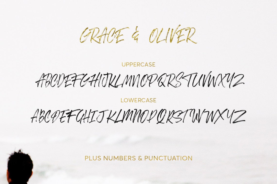 Fonts Script Fonts Rough Fonts Gritty Fonts Grainy Fonts - Etsy
