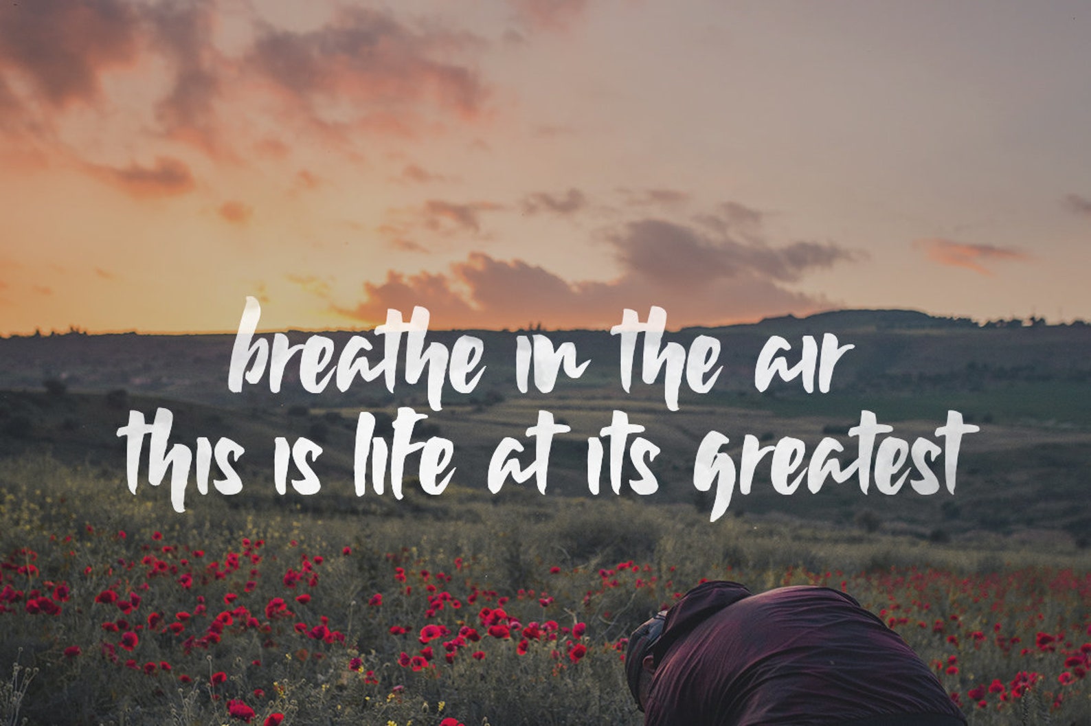 Fonts Brush Fonts Floral Fonts Unique Fonts Quirky Fonts - Etsy