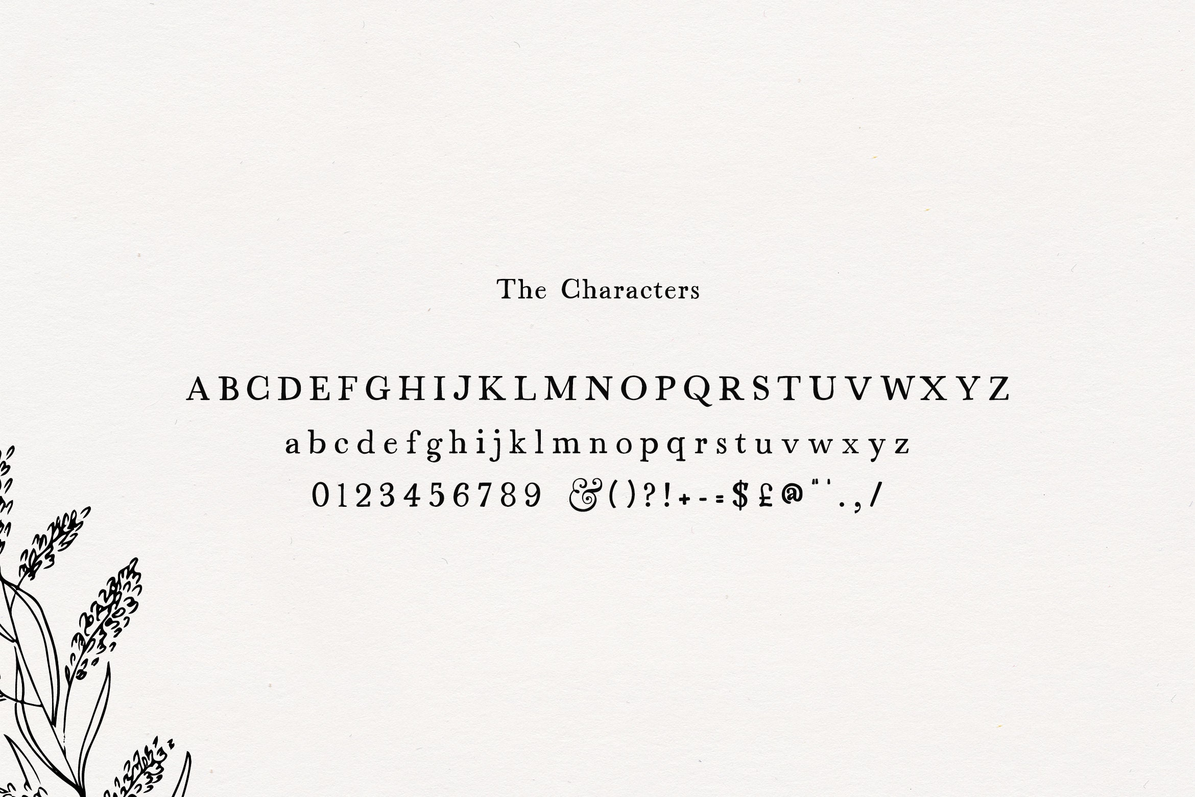 Fonts Old Fashioned Fonts Rustic Fonts Antique Fonts - Etsy