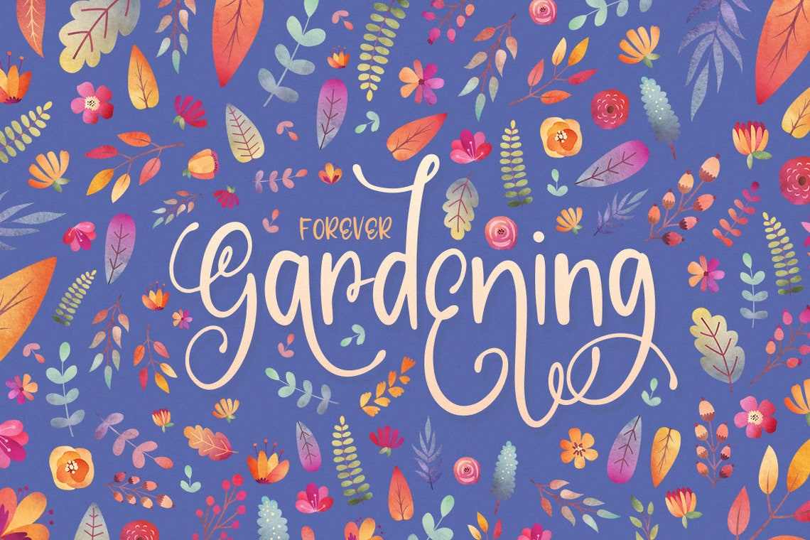 Fonts Craft Fonts Fancy Fonts Swirly Fonts Cricut Fonts - Etsy