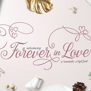 Wedding Fonts, Romantic Fonts, Script Fonts, Procreate Fonts, Love ...