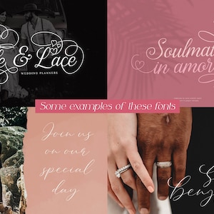 Wedding Fonts, Romantic Fonts, Script Fonts, Procreate Fonts, Love ...