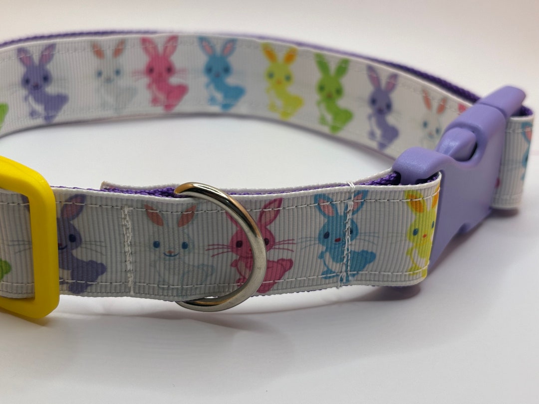 Colorful Bunnies Theme Dog Collar With Free Shipping - Etsy