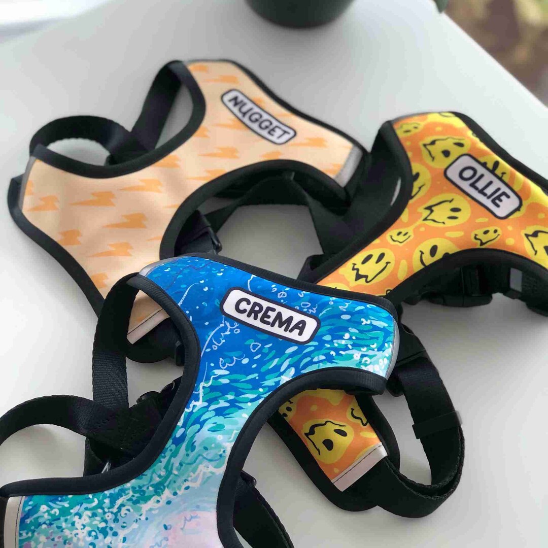 Personalized Harness for Dogs and Puppies | Adjustable, Breathable, and ...