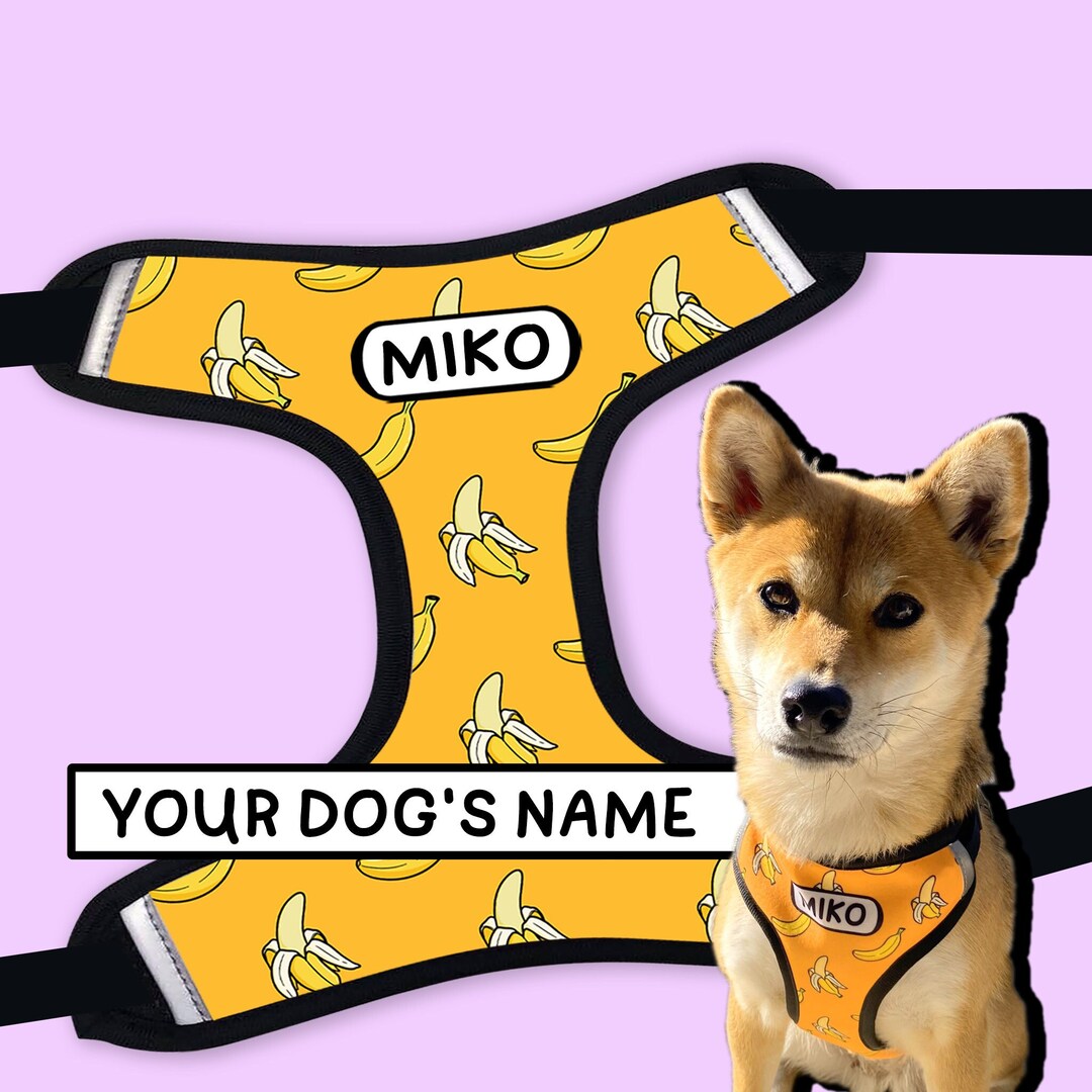 Personalized Dog Walking Harness With Dog's Name | Night Safety ...
