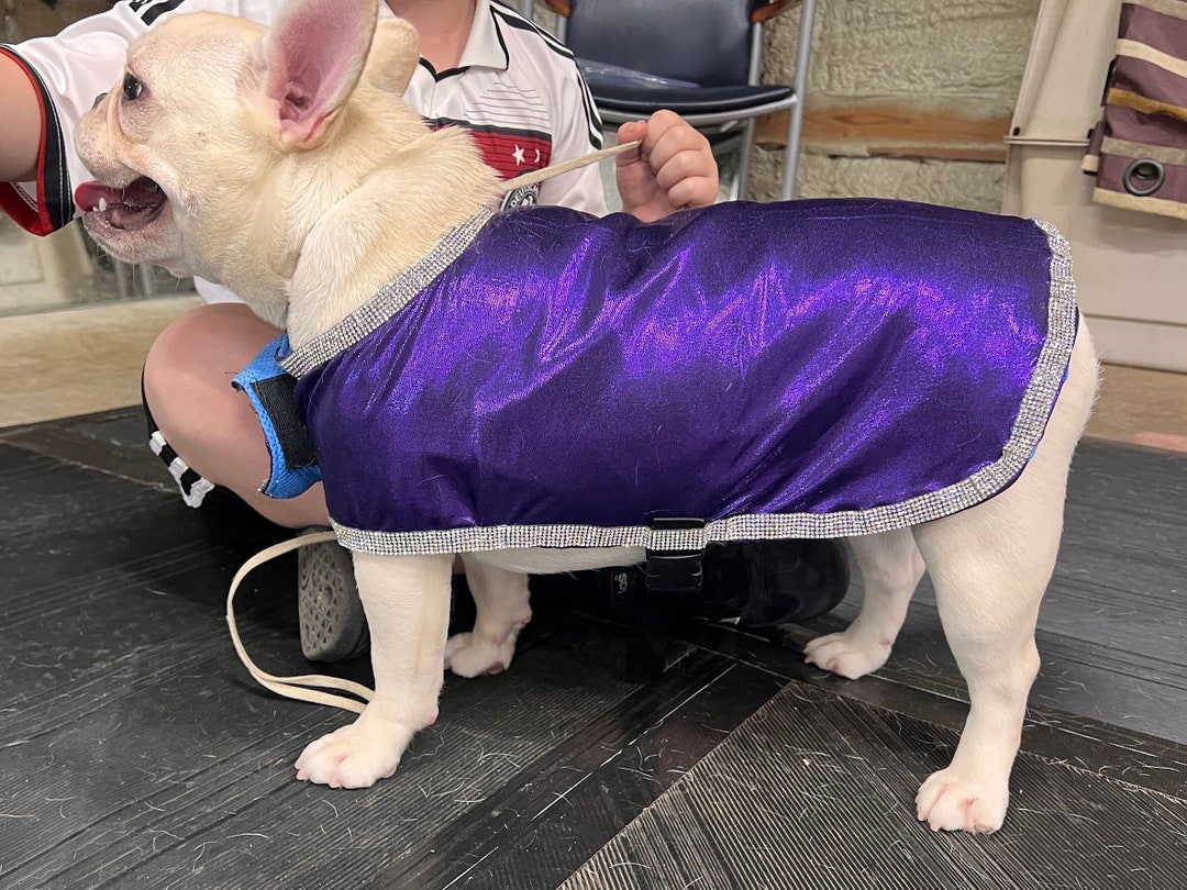 Cooling Coats for Dogs Plus Embroidered Name !! - Etsy