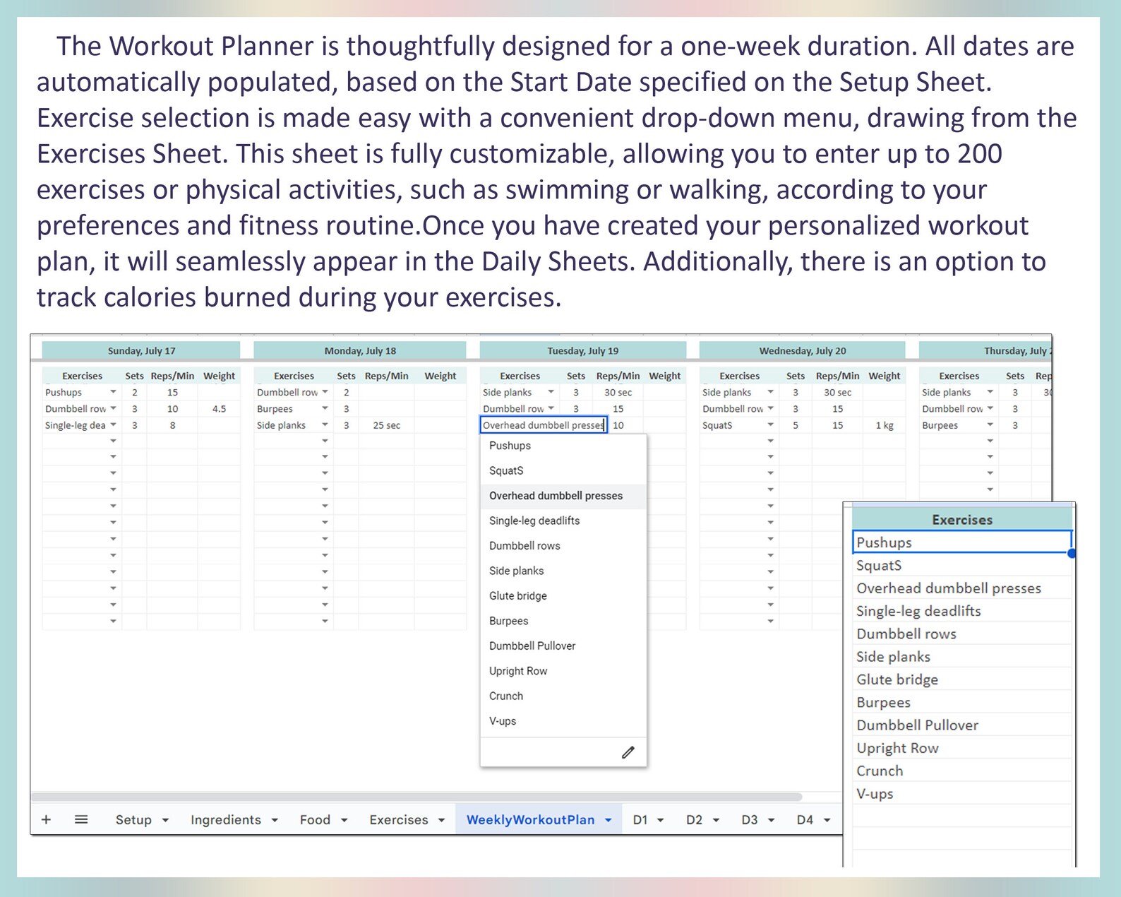 Fitness Planner Spreadsheet Macro Diet Meal Tracker Workout Organizer ...