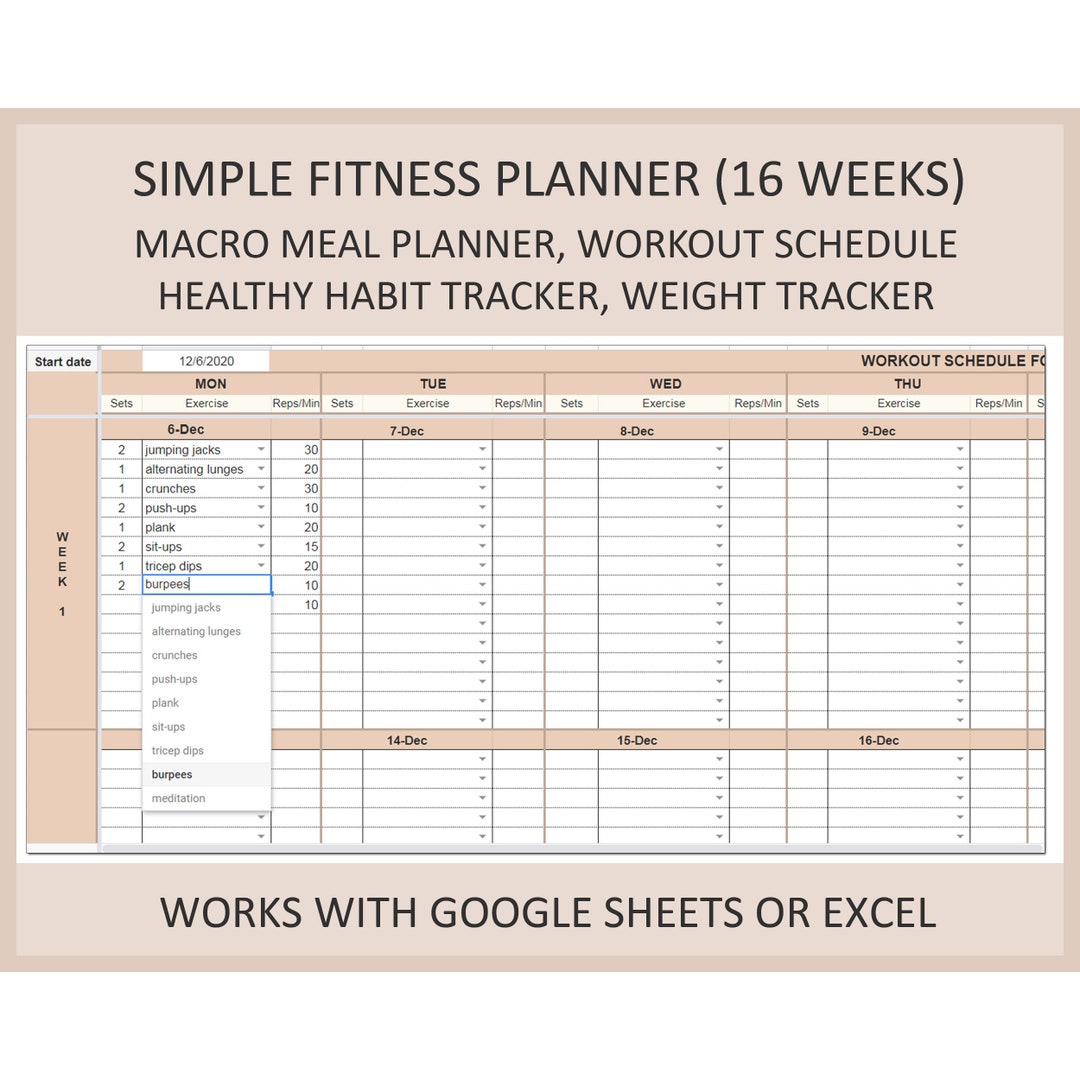 Fitness Planner Spreadsheet Excel Google Sheets Workout Organizer ...