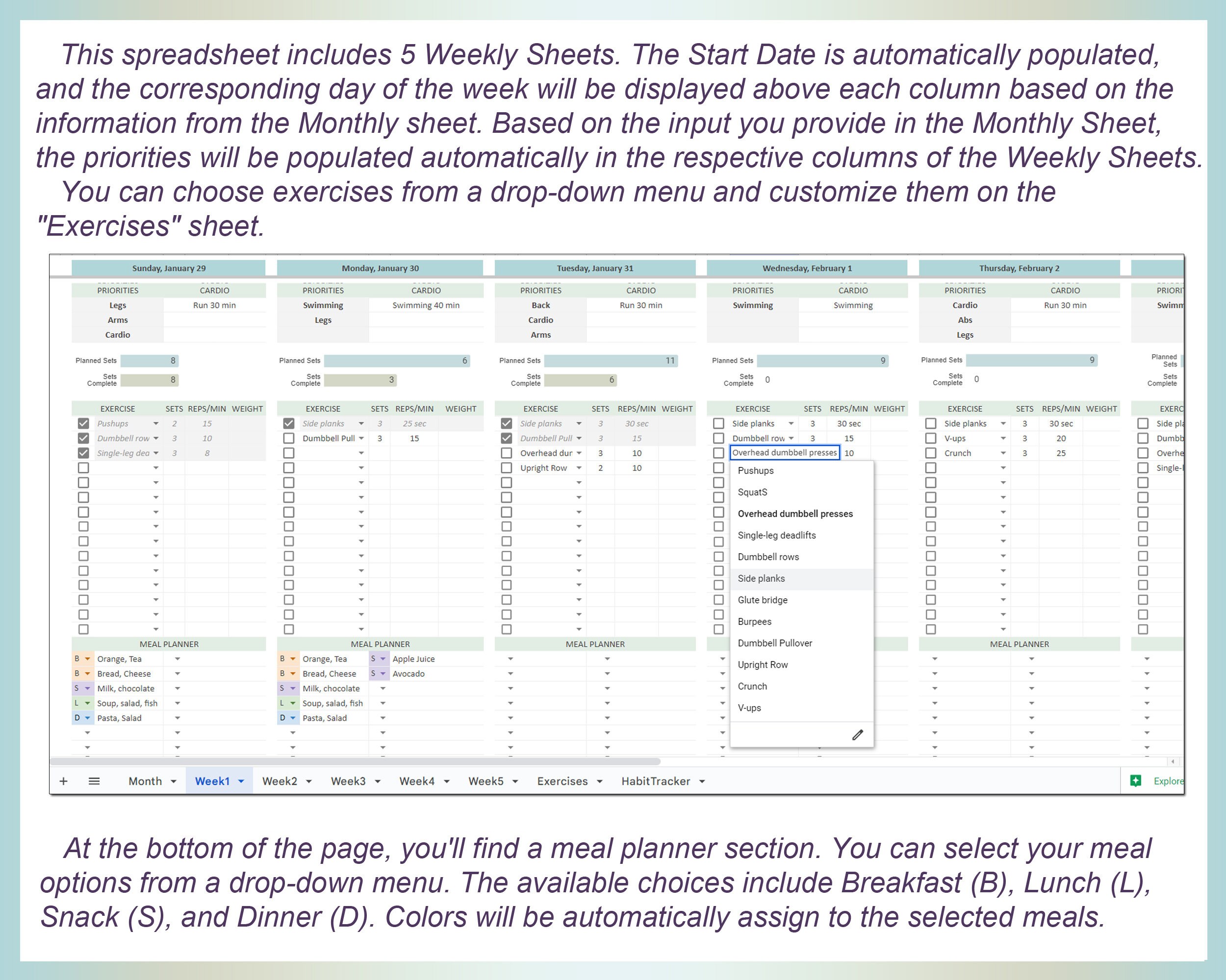 Workout Planner Excel, Workout Schedule, Gym Workout Plan, Workout ...