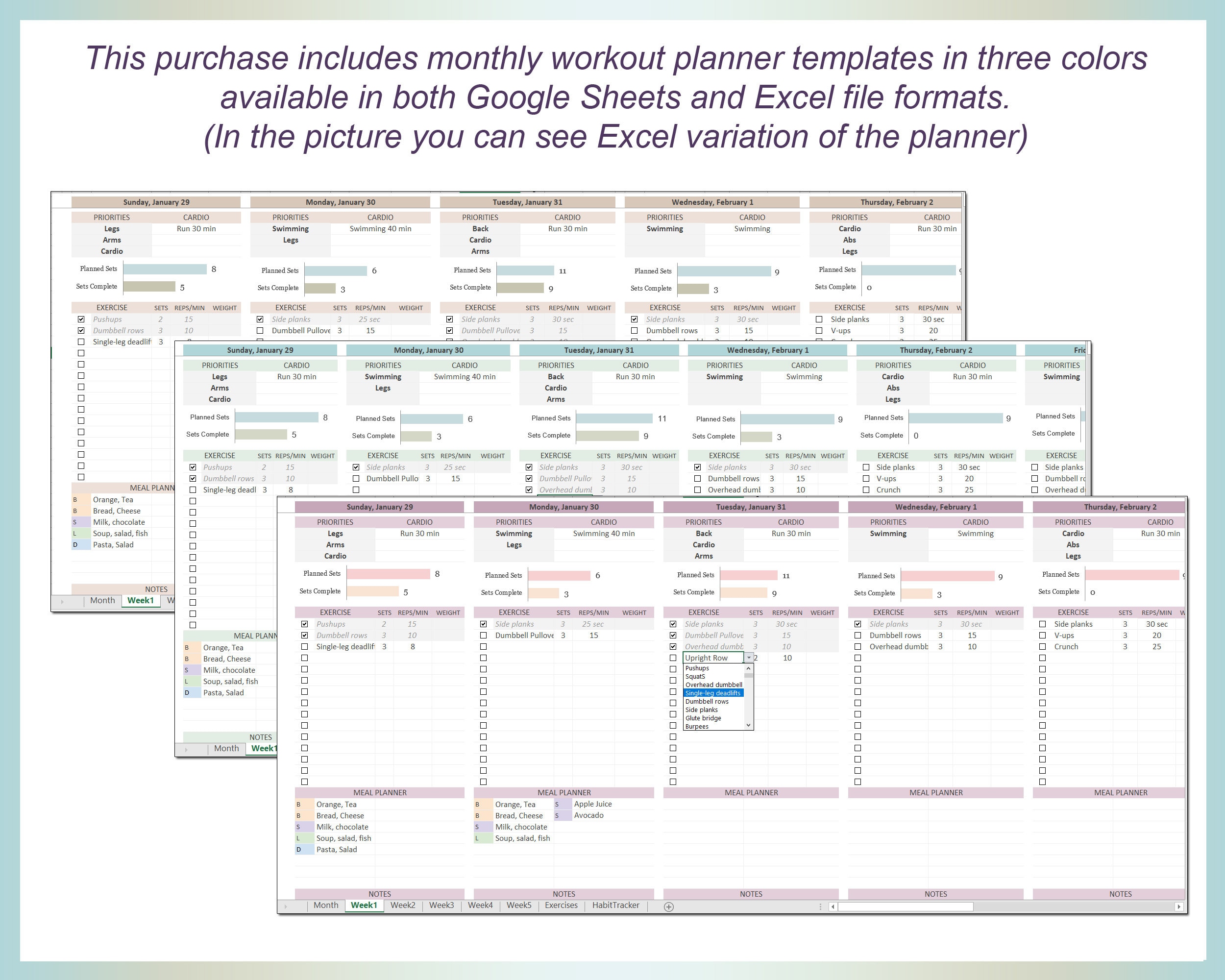 Workout Planner Excel, Workout Schedule, Gym Workout Plan, Workout ...