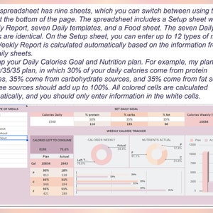 Macro Meal Planner Spreadsheet, Excel Meal Planner, Macro Diet Meal ...