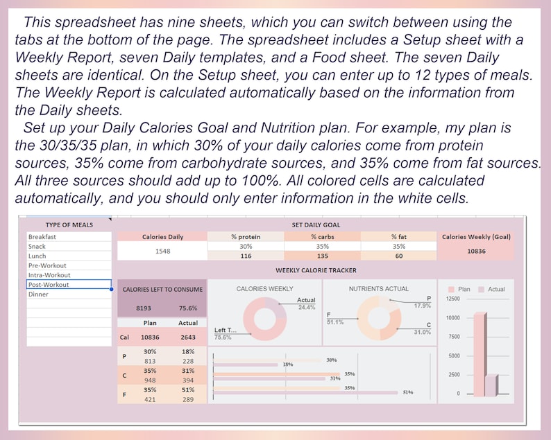 Macro Meal Planner Spreadsheet, Excel Meal Planner, Macro Diet Meal ...