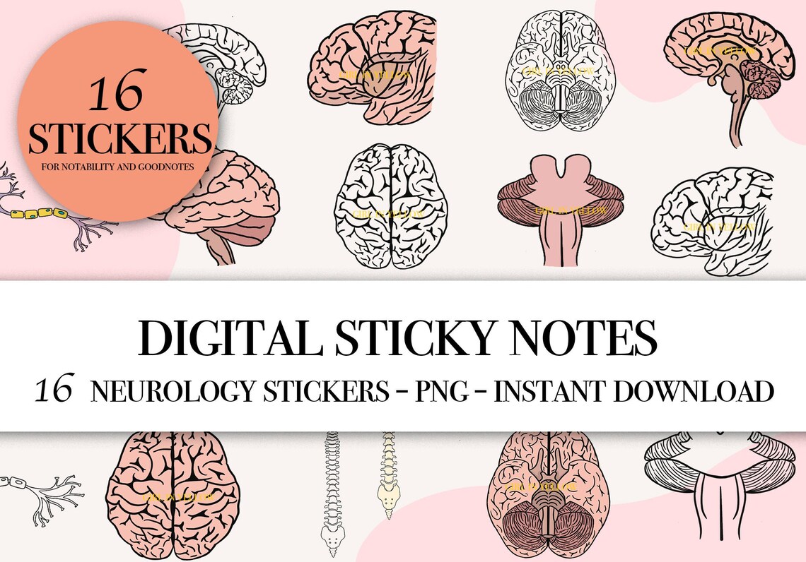 Neurology Digital Sticker Pack, Nervous System Digital Stickers ...