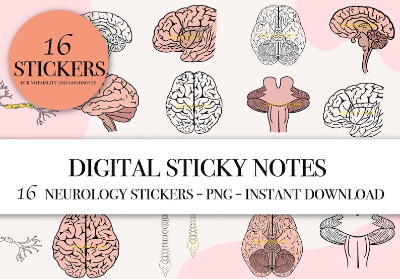 Neurology Digital Sticker Pack, Nervous System Digital Stickers ...