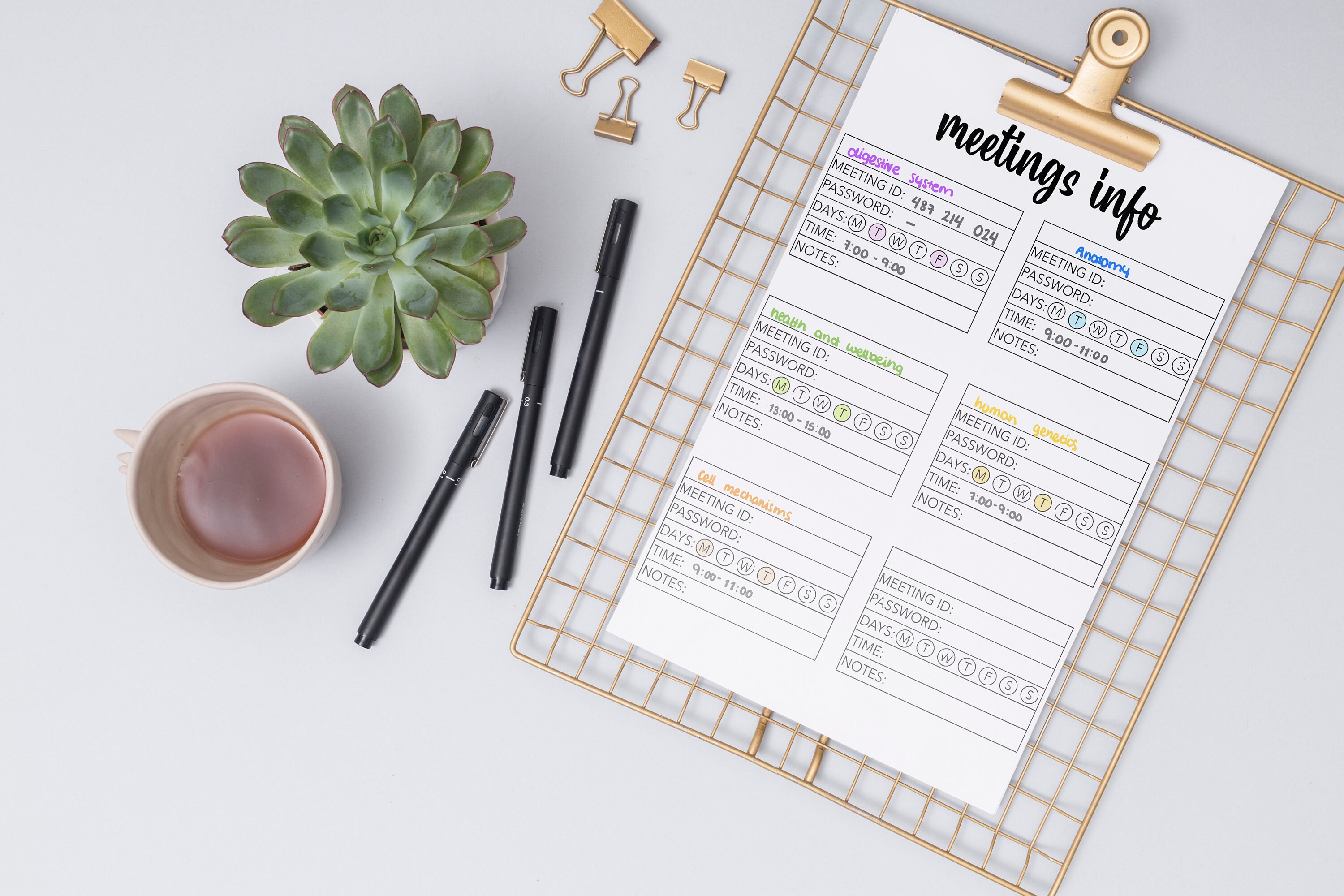 Meeting Information Log, Zoom Meeting Tracker, Google Teams, Online ...