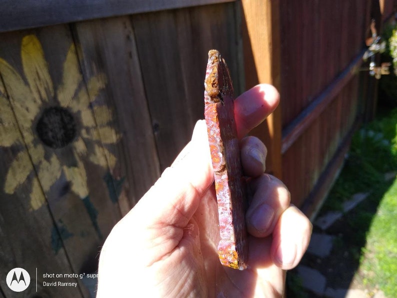 WINGATE PASS AGATE (super Rare Very Old Stock) - Etsy