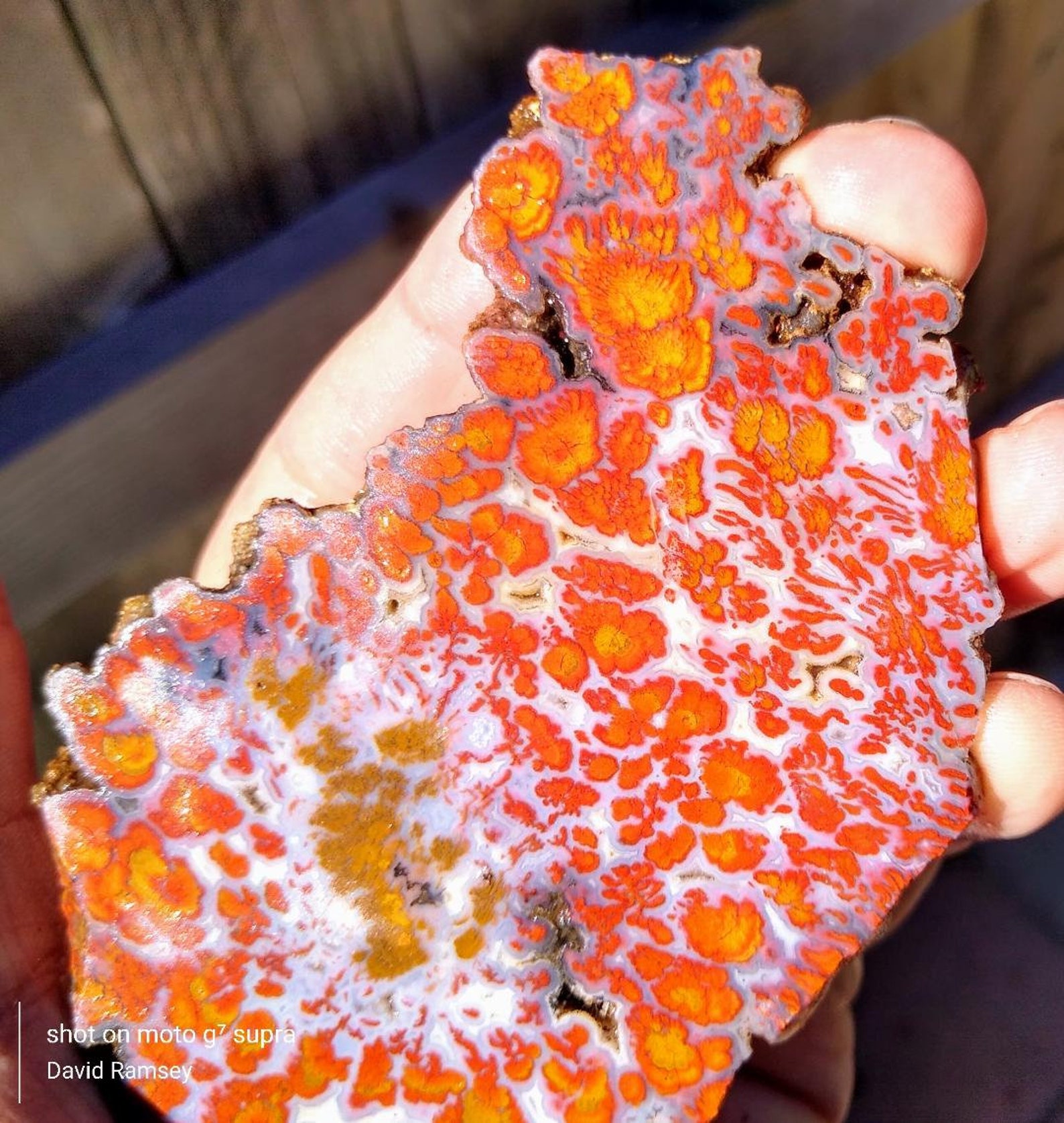 WINGATE PASS AGATE (super Rare Very Old Stock) - Etsy