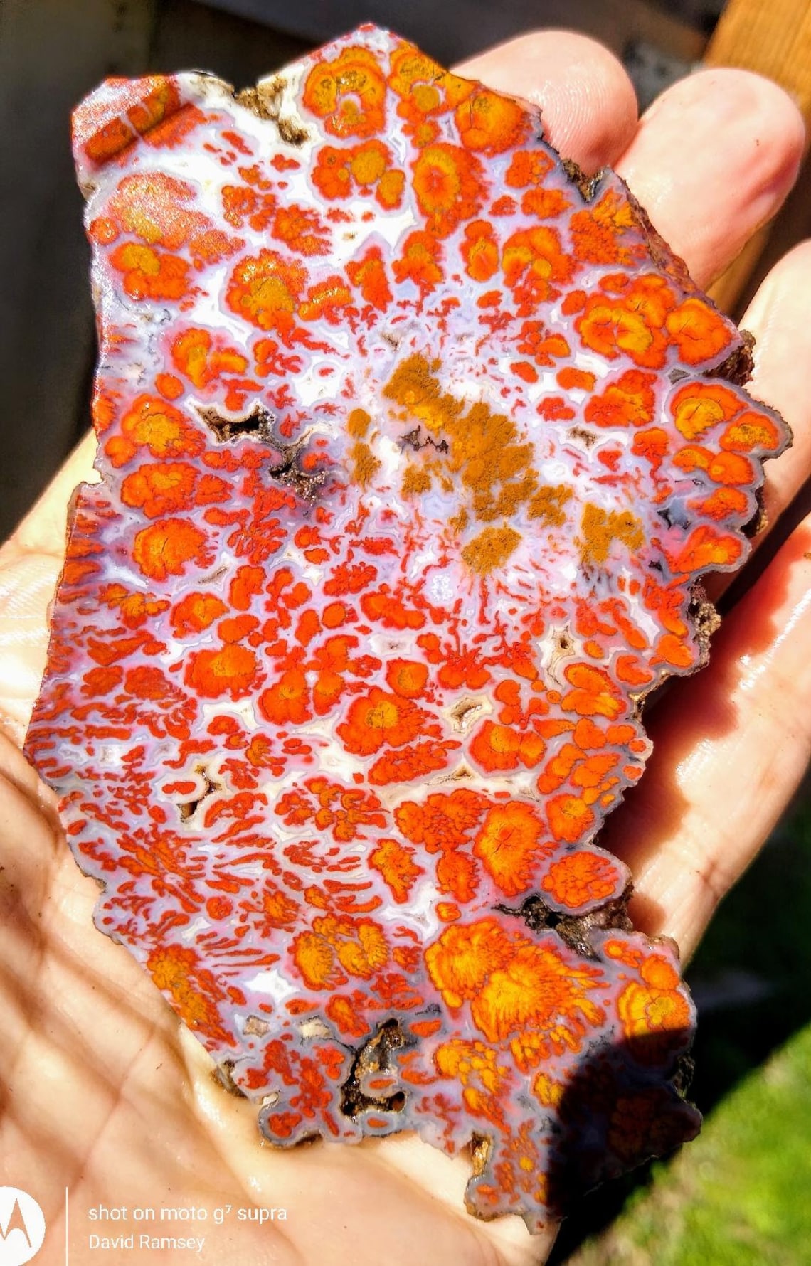 WINGATE PASS AGATE (super Rare Very Old Stock) - Etsy