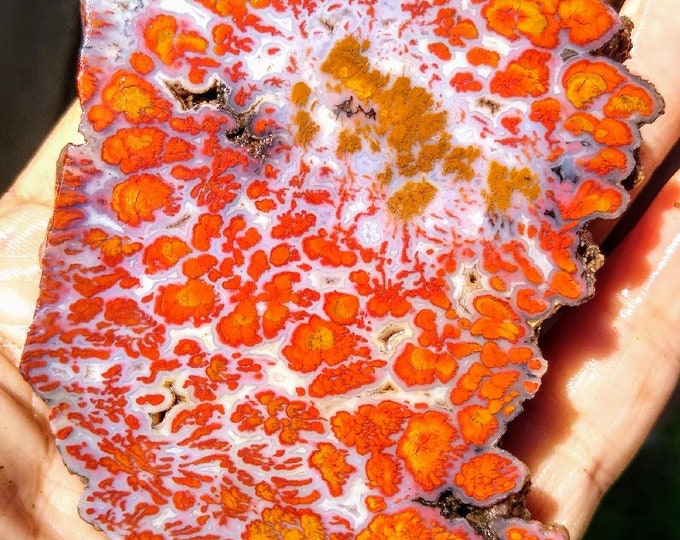 Natural Plume Agate Rough Slab, Top Quality, Colourful,agate Specimen ...