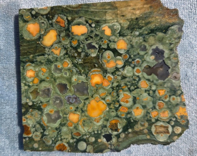 RAINFOREST JASPER SUPER Patterns - Etsy