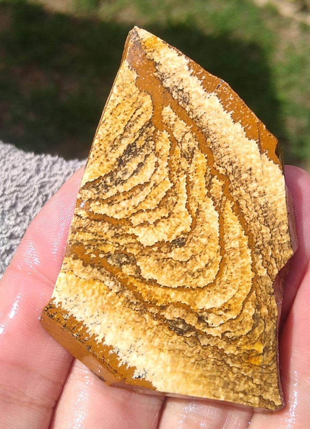 PICTURE JASPER - Etsy