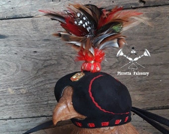 Hawk hoods - www.pirrottafalconry.com