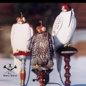 Falconry Block - Aluminum Falconry Block - Falconry Equipment ...