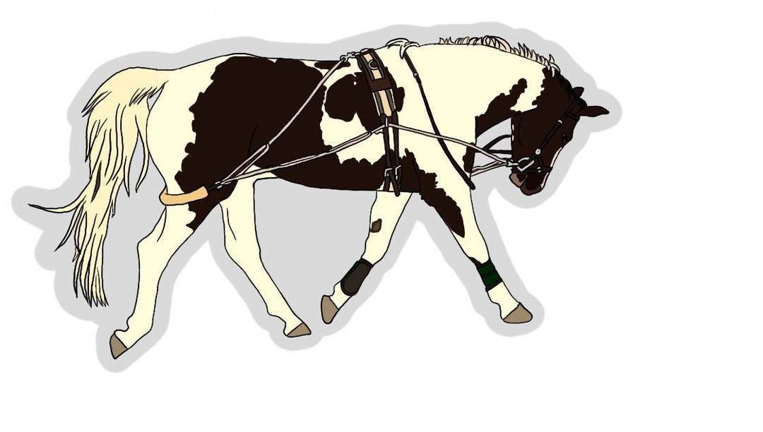 Pinto Pessoa Sticker - Etsy