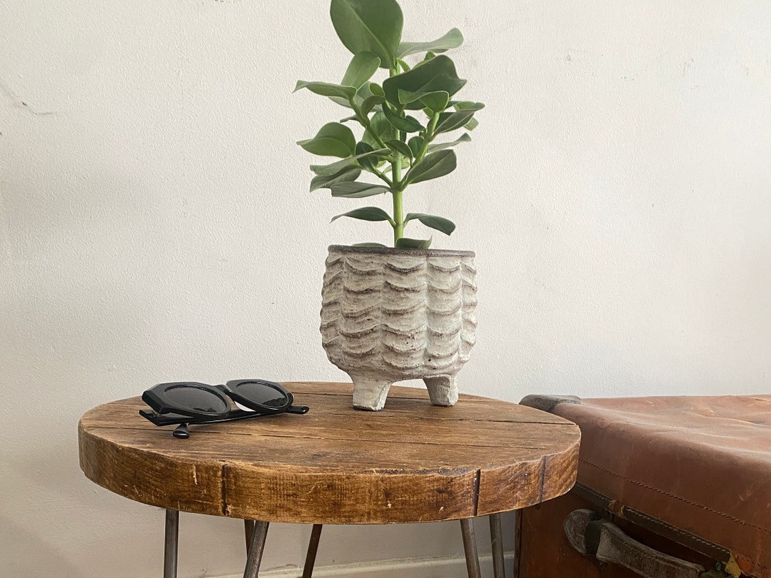 FORET Small Rustic Circle Solid Wood Chunky Scaffold Hairpin Metal Leg ...