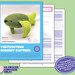 PATTERN | Tartuosteus Crochet Plush | Prehistoric Armored Fish ...