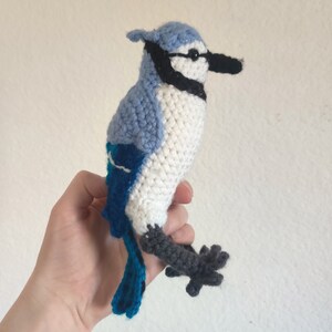 PATTERN | Blue Jay Crochet Pattern | Intermediate Difficulty ...