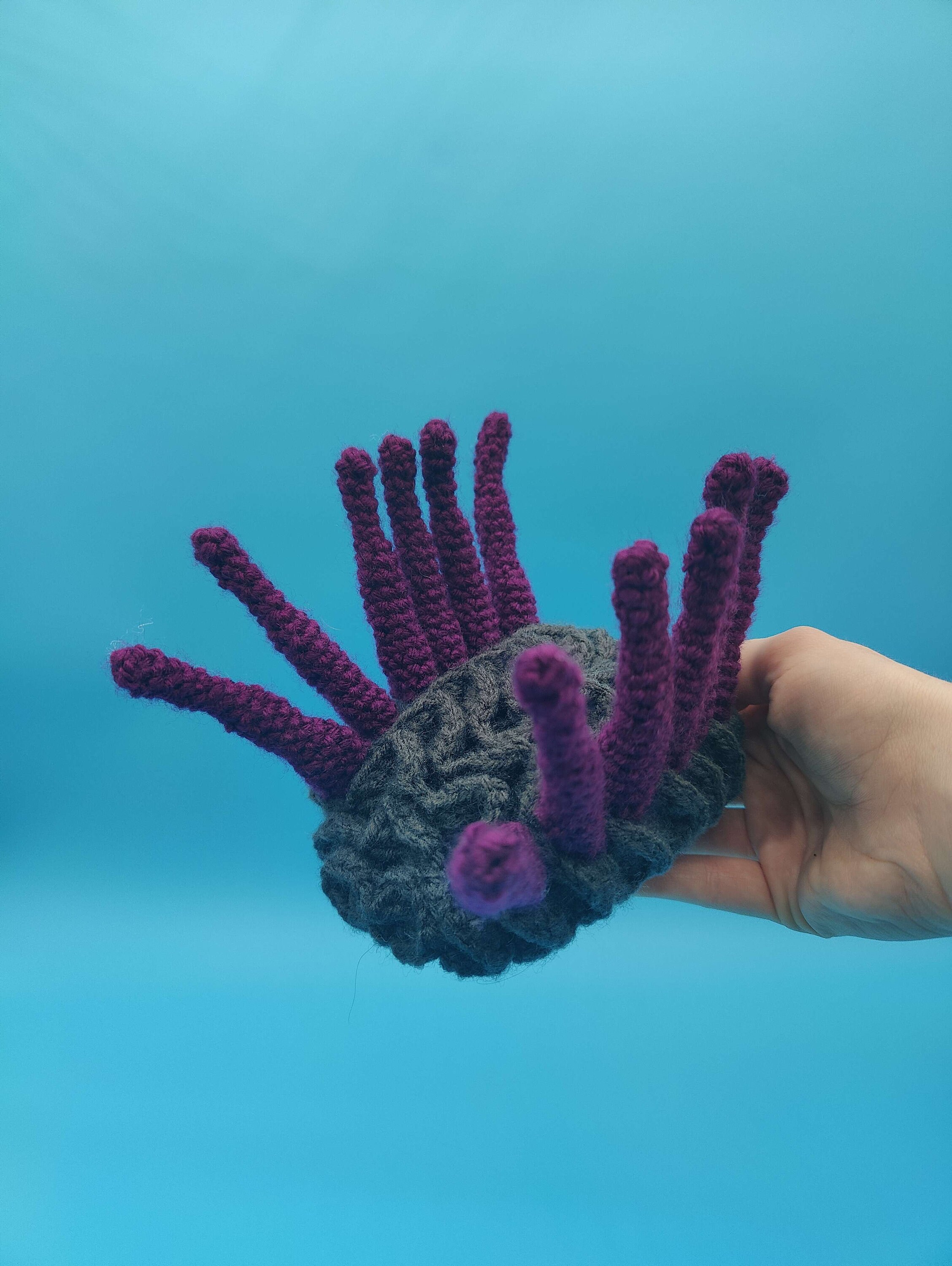 PATTERN | Wiwaxia Crochet Plush | Unique Cambrian Sea Creature ...