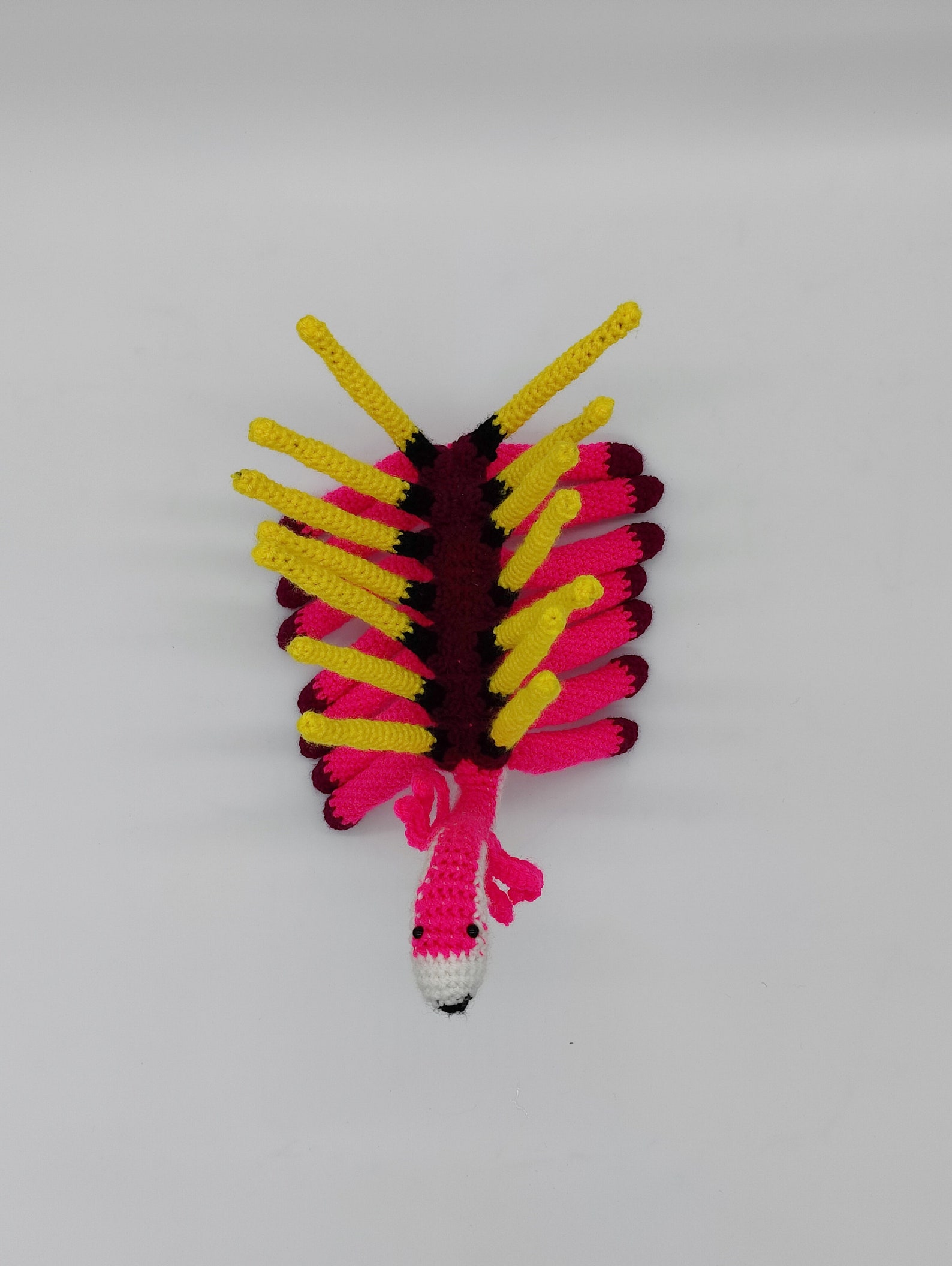 PATTERN | Hallucigenia Crochet Pattern | Cambrian Sea Creature | Unique ...