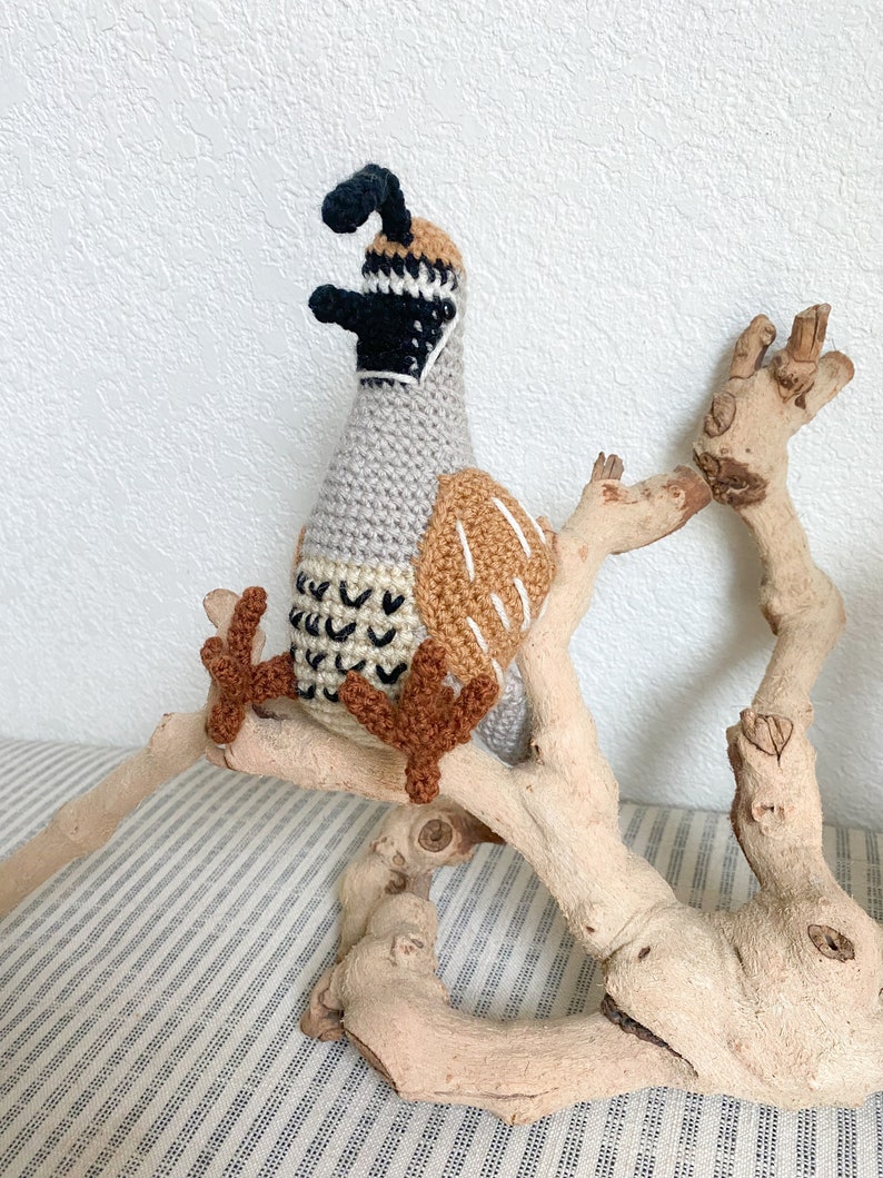 PATTERN | California Quail | Native Wildlife | Intermediate Crochet ...