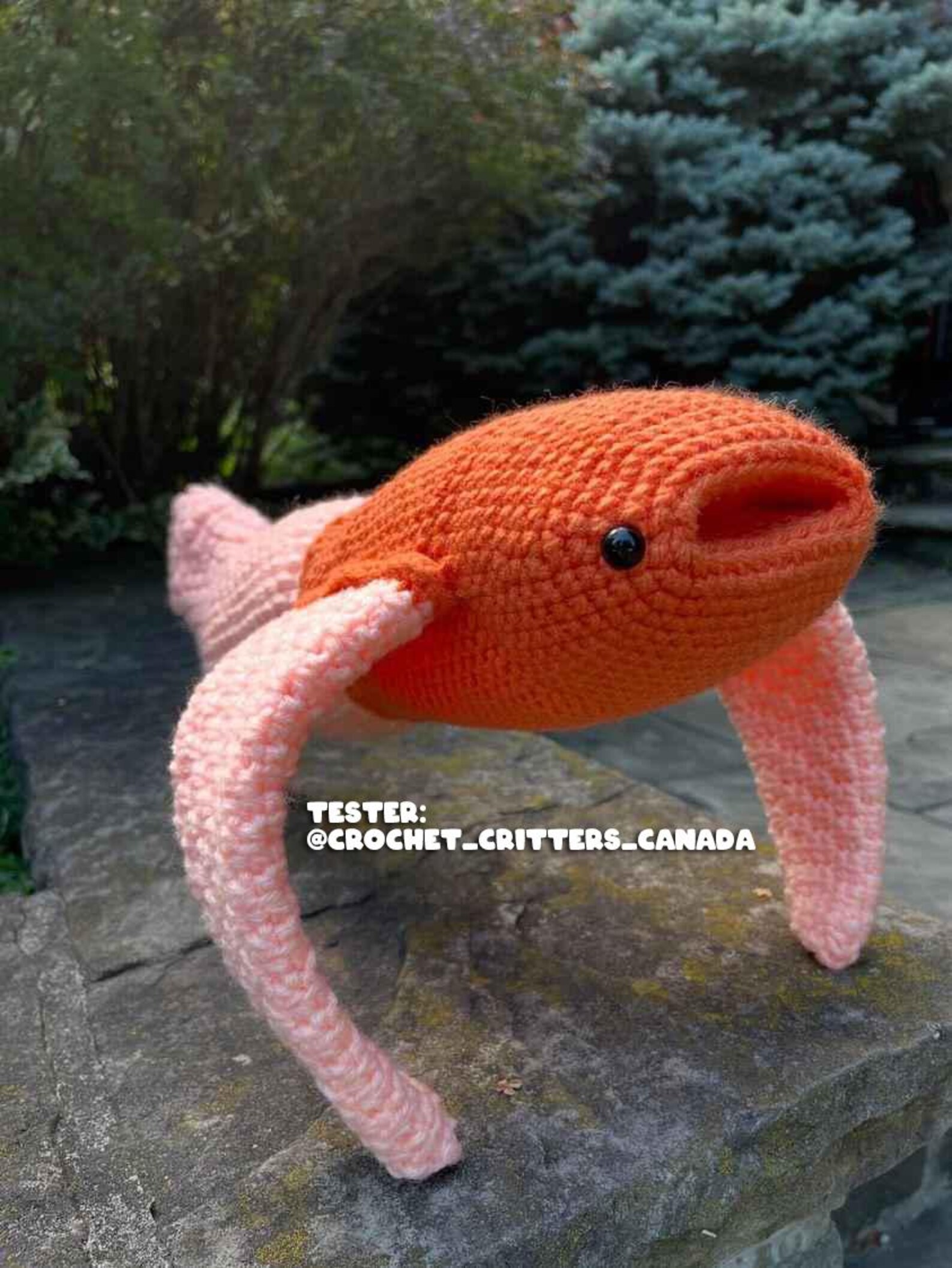 PATTERN | Tartuosteus Crochet Plush | Prehistoric Armored Fish ...