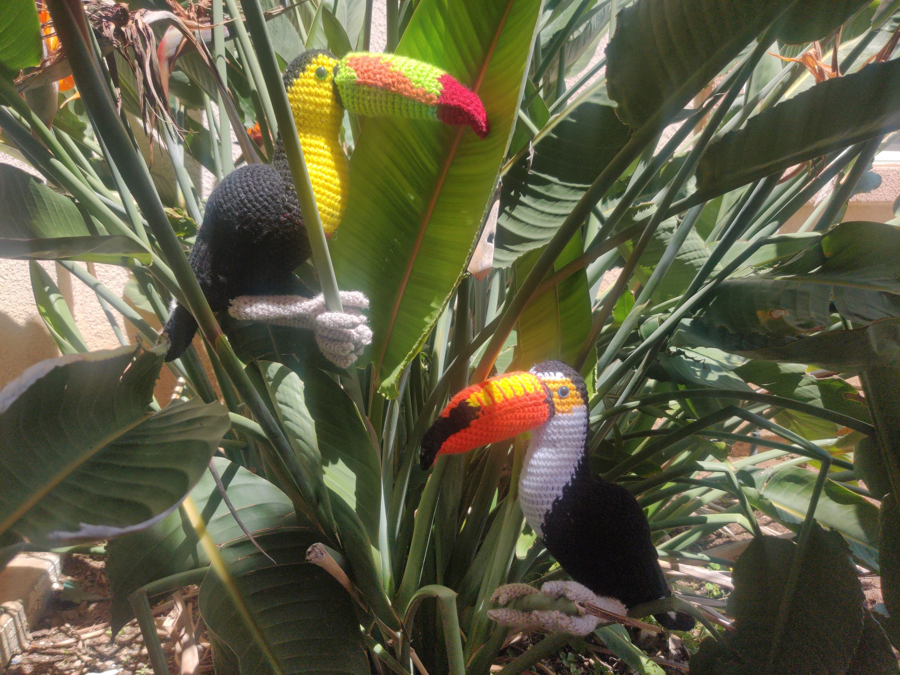 PATTERN | Toucan Crochet Plush | TWO PACK | Keel-billed & Toco Species ...