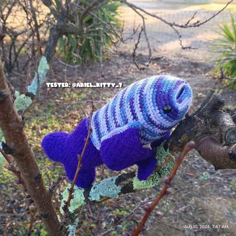 PATTERN | Tartuosteus Crochet Plush | Prehistoric Armored Fish ...