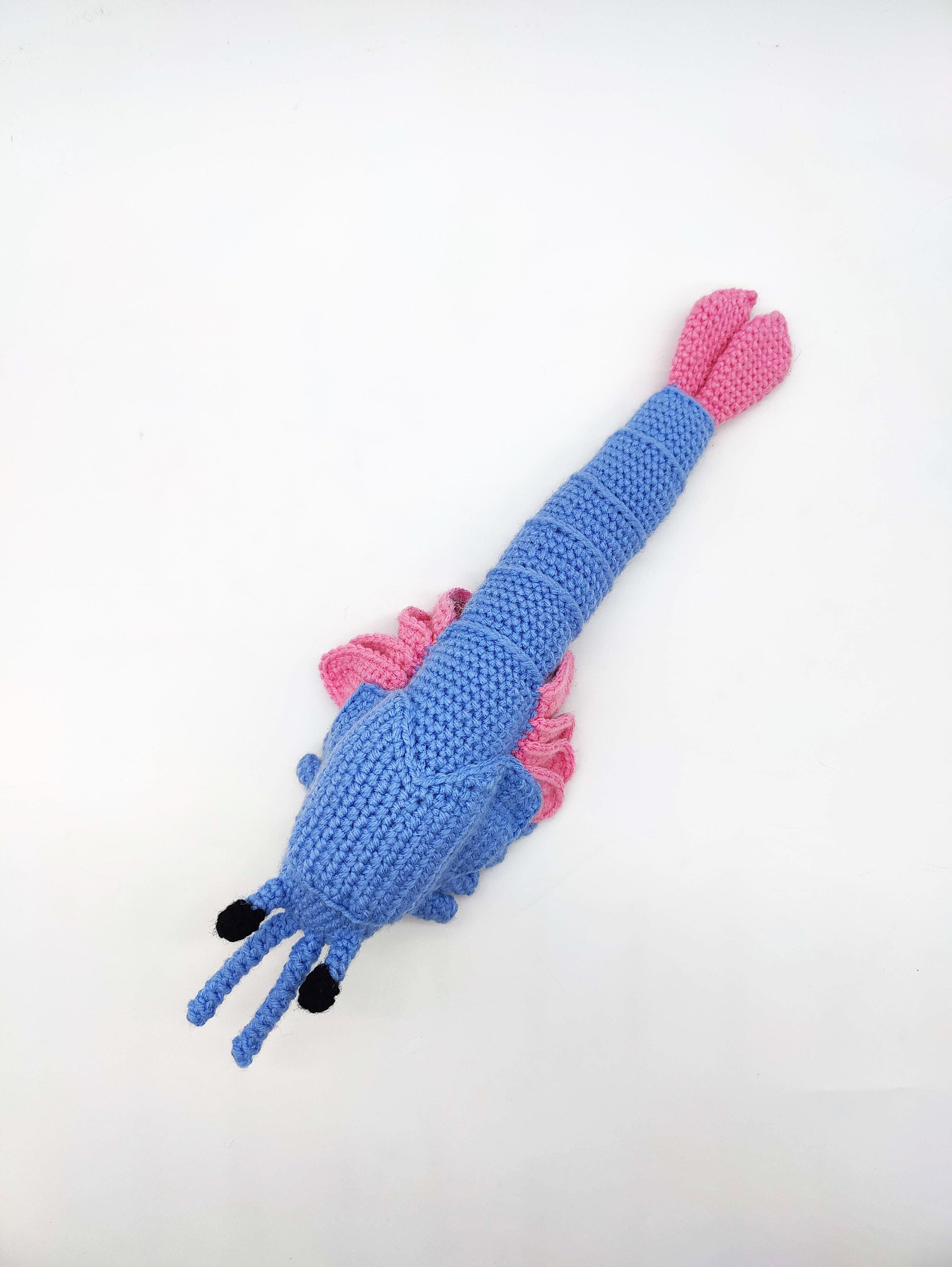 PATTERN | Waptia Crochet Plush | Cambrian Explosion | Prehistoric ...
