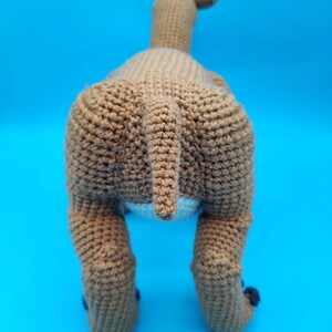 PATTERN | Macrauchenia Crochet Plush | Prehistoric Ice Age Llama ...