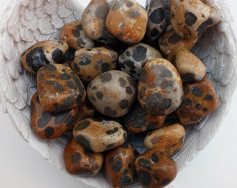 Cheetah Jasper | Etsy