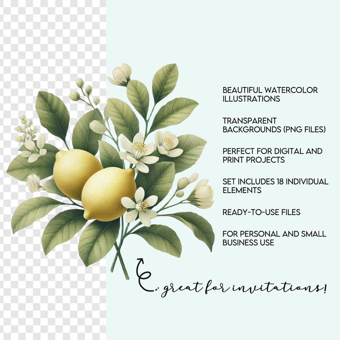 Lemon Watercolor Clip Art Set - Citrus Clip Art - PNG Files - Digital ...