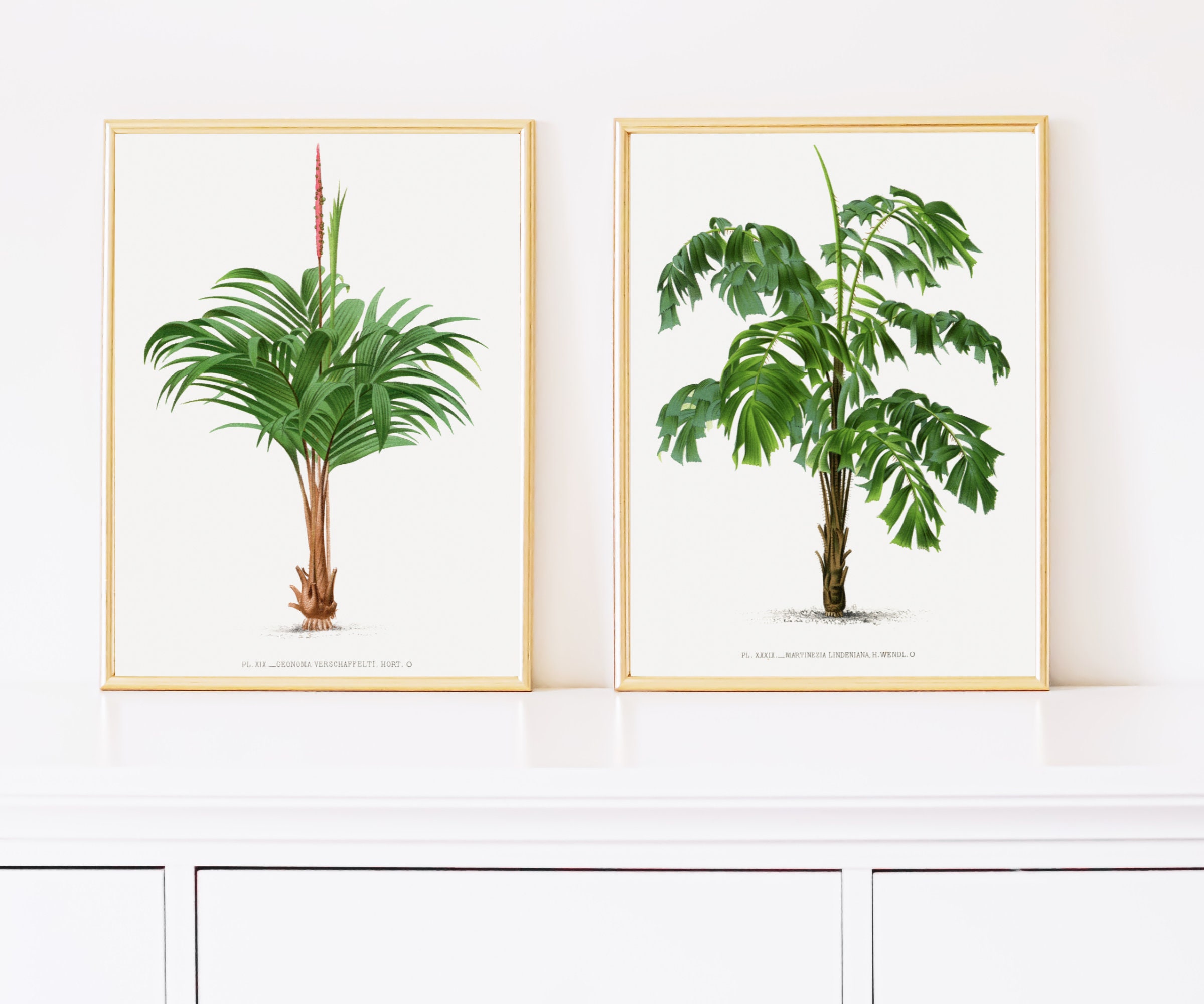 Set of 3 Tropical Palm Tree Printables Wall Art Digital - Etsy