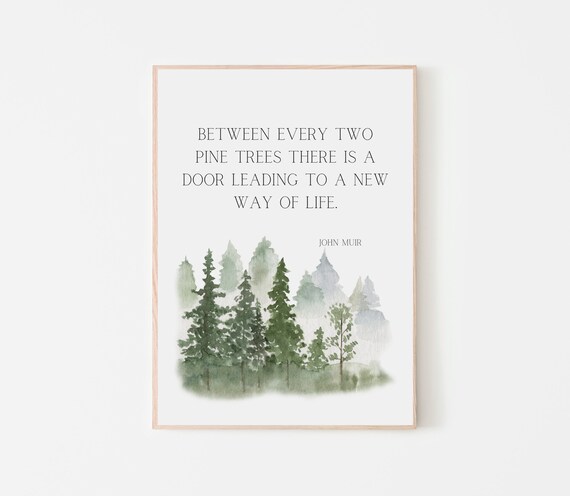 Pine Tree Quote Did You Even Know That Ponderosa Pine Trees Smell