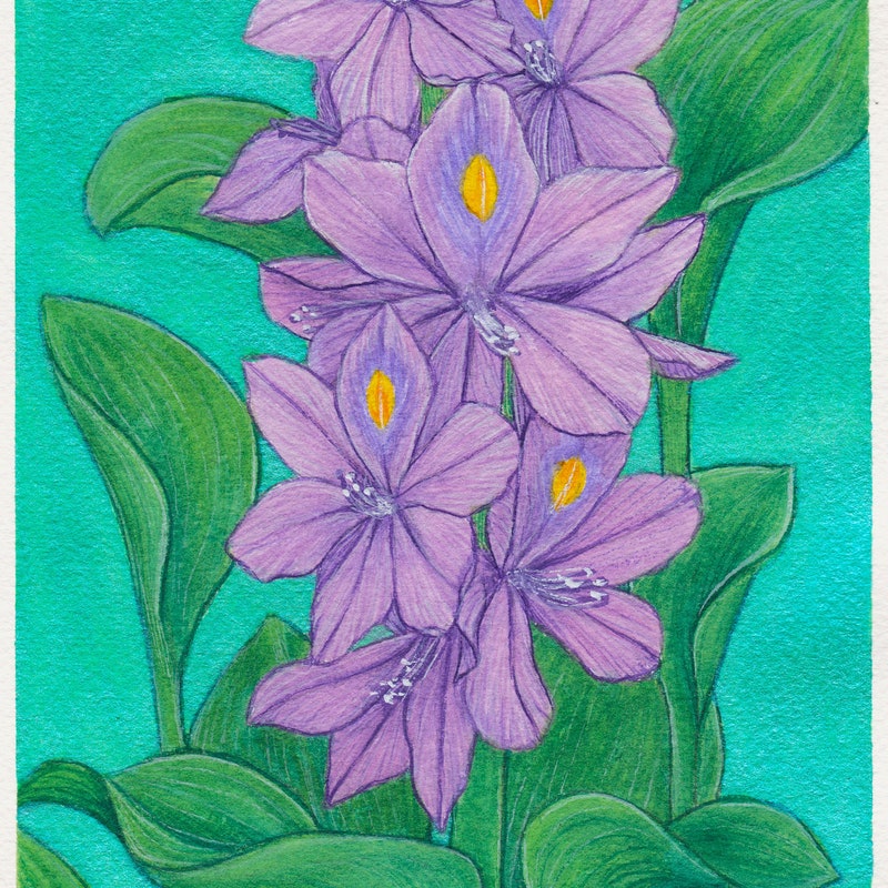 EmilyManningArt - Etsy