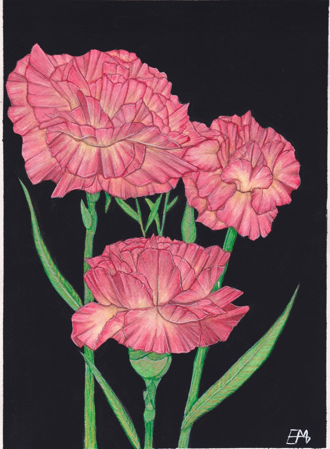 Carnations Original Watercolour Painting - Etsy