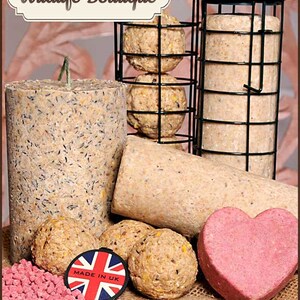 2 X JUMBO Fat Logs PLUS Bird Feeder. Hanging Wild Bird Feeder With Fat ...