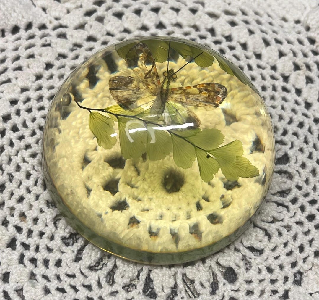 Vintage Small Resin Dome- Botanical Decor Paperweight- Aged - Etsy
