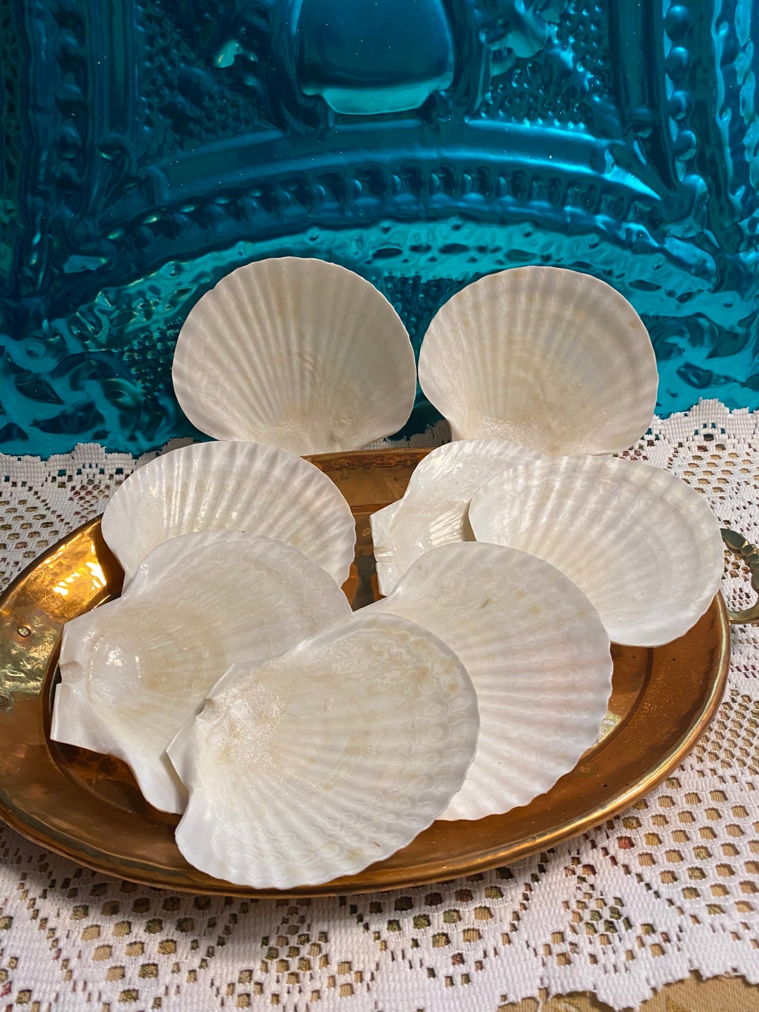 Ensemble de 8 plateaux à coquillages vintage véritables - Etsy France